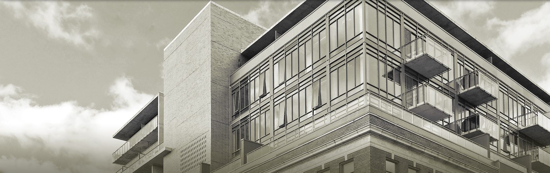 Business Lines - Carttera