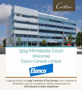 CARTTERA BUZZ – Carttera